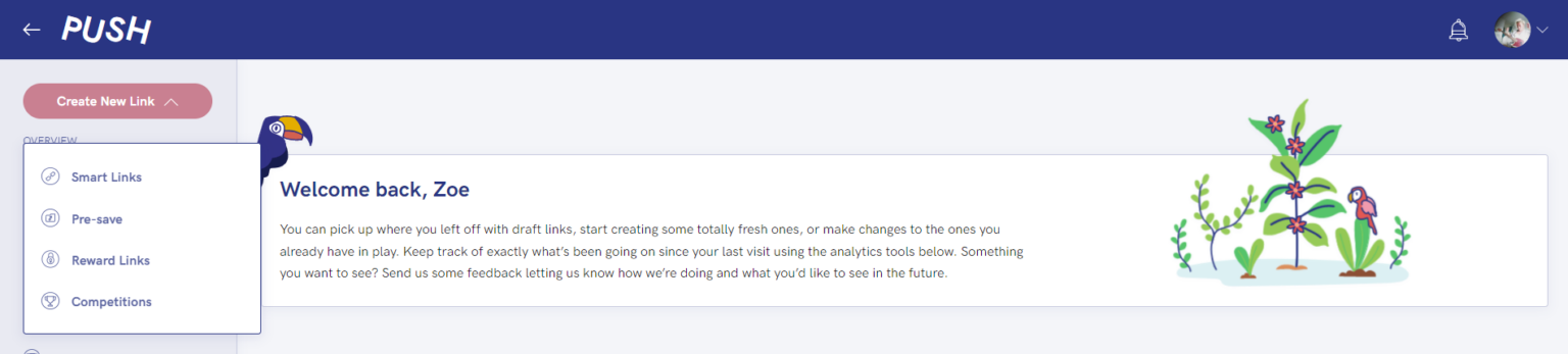How to make a Pre-save – PUSH Support Hub